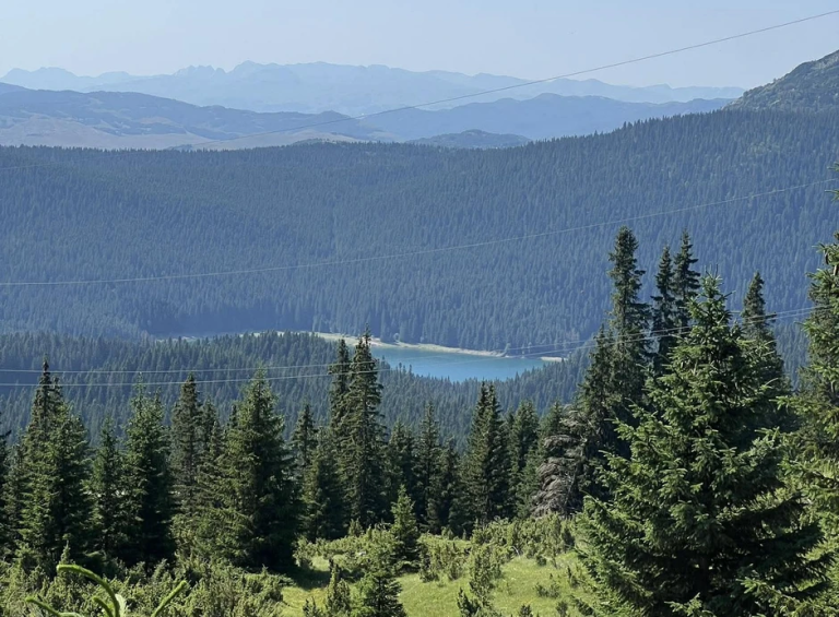 WANTS TO REVIVE LITTLE BLACK MOUNTAIN: Milorad Gifts a 15,000-Square ...