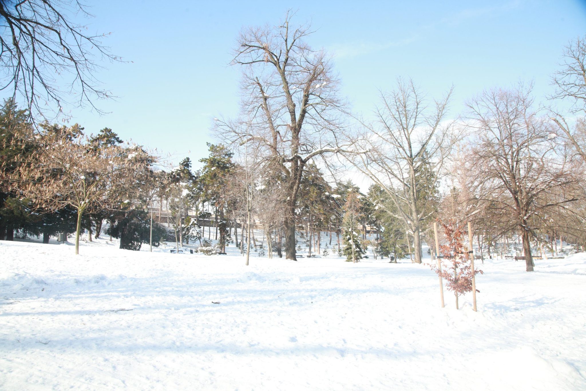 IN SERBIA LIKE IN SIBERIA: We Will Freeze in the Icy Košava Wind – Here ...