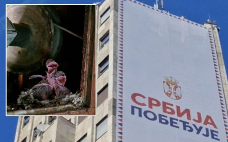 HITAN APEL ZA SPAS PTICA U CENTRU BEOGRADA: Zbog bilborda „Srbija ...